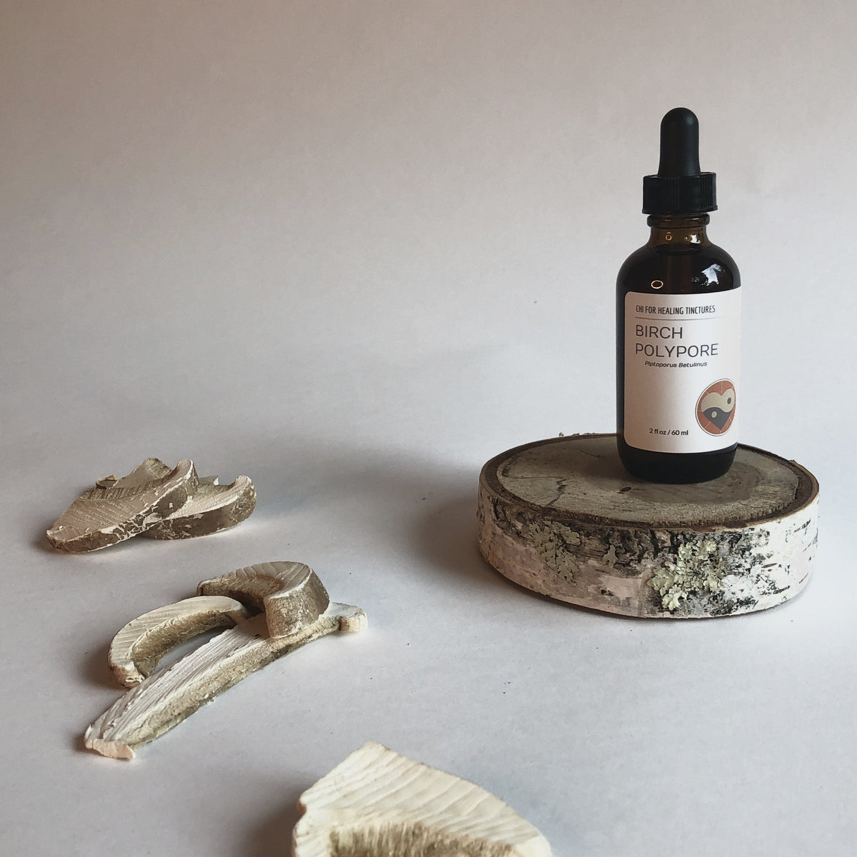 Birch Polypore Mushroom Herbal Tincture Wild Foraged Mushroom Chi