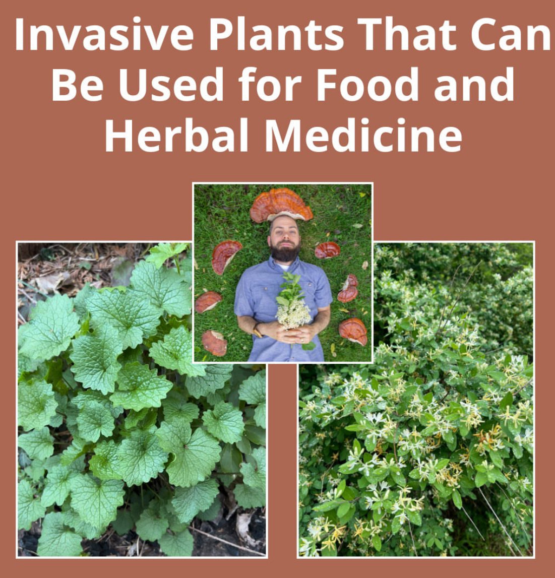 Invasive Plants That Can Be Used for Food and Herbal Medicine – Chi for ...