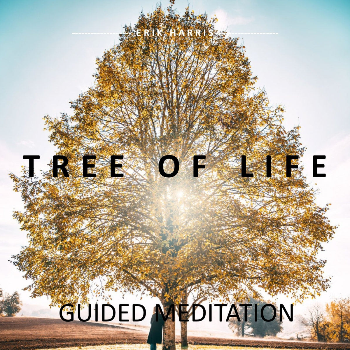 Tree of life meditation, digital download, guided meditation – Chi for ...